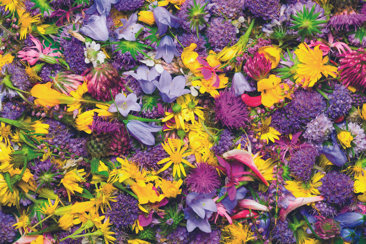 HYSCENT ASPIRATIONAL (W) CRUSHED PETALS (CTN 6) - Star Hygiene